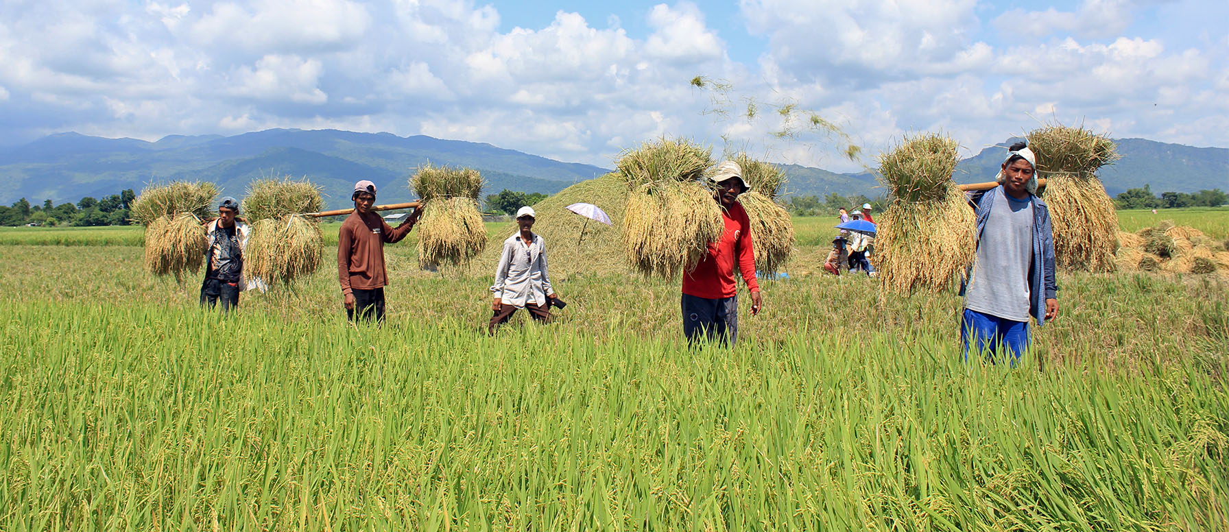 DAR at DA kinalampag sa 'di pagpapatupad ng repormang agraryo | Police ...