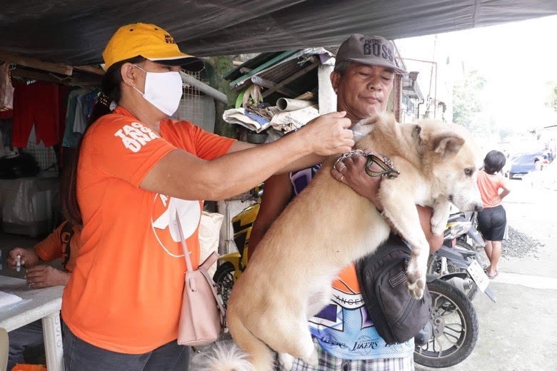 28,000 Aso, pusa nabigyan ng bakuna sa loob ng 5 buwan sa Caloocan ...