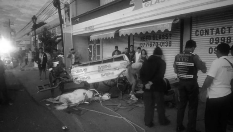 Kutsero at kabayo patay sa trak | Police Files! Tonite