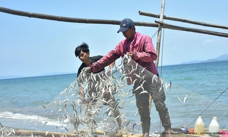 BFAR pinanatili ang fishing ban sa mga bayang apektado ng oil spill sa Oriental Mindoro | Police ...