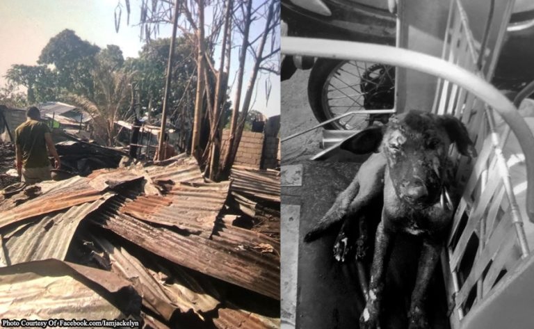 Aso iniligtas 5-anyos na bata sa sunog | Police Files! Tonite