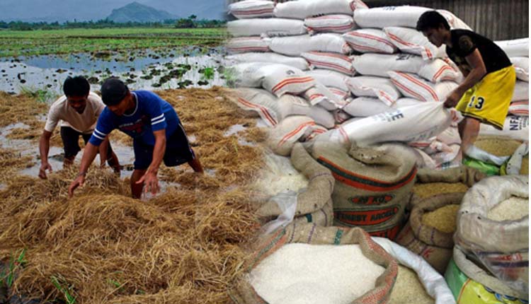 Sapat Na Suplay Ng Bigas Muling Tiniyak Ng Marcos Admin Police Files