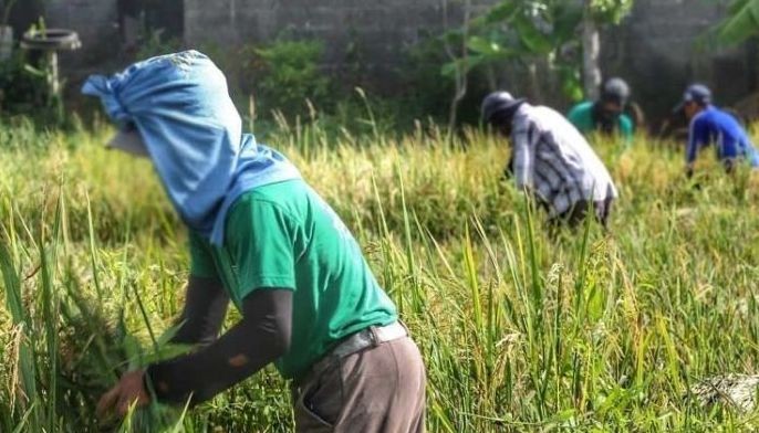 Moratorium sa pagbabayad ng utang sa lupa ng mga magsasaka, pinalawig ni PBBM ng 2 taon | Police ...