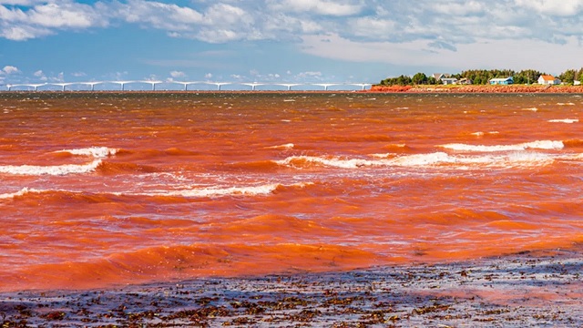 8 baybayin sa bansa positibo sa toxic red tide | Police Files! Tonite
