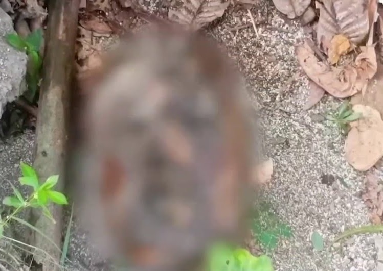 Ulong pugot lumutang sa creek | Police Files! Tonite