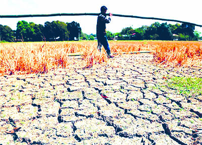 Higit 100 lugar sa bansa nasa state of calamity dahil sa El Niño | Police Files! Tonite