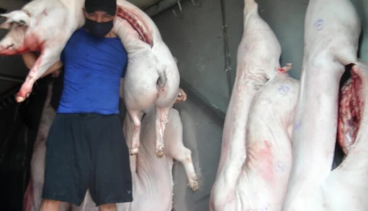 Batangas inilagay sa state of calamity sa ASF | Police Files! Tonite