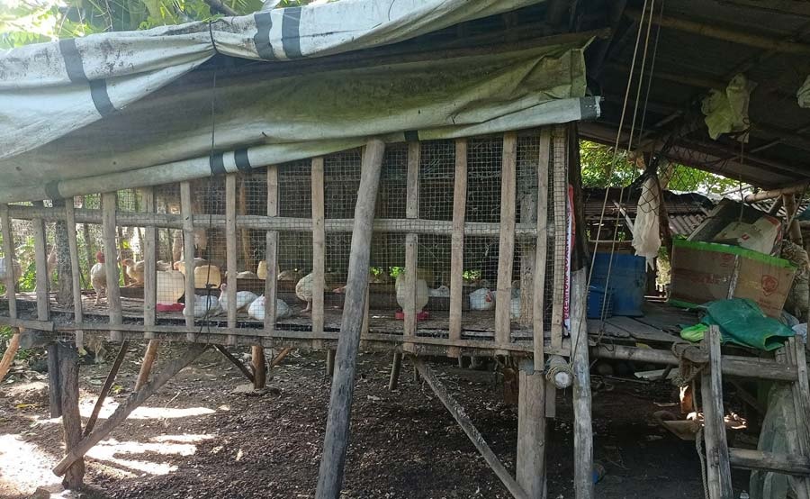 Bagong silang na sanggol, iniwan sa kulungan ng manok | Police Files ...