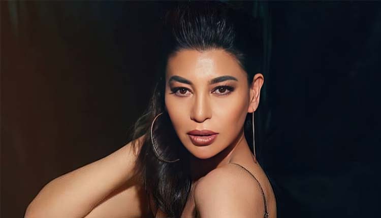 Lani inamin, tapos na ang panahon ng kasikatan | Police Files! Tonite