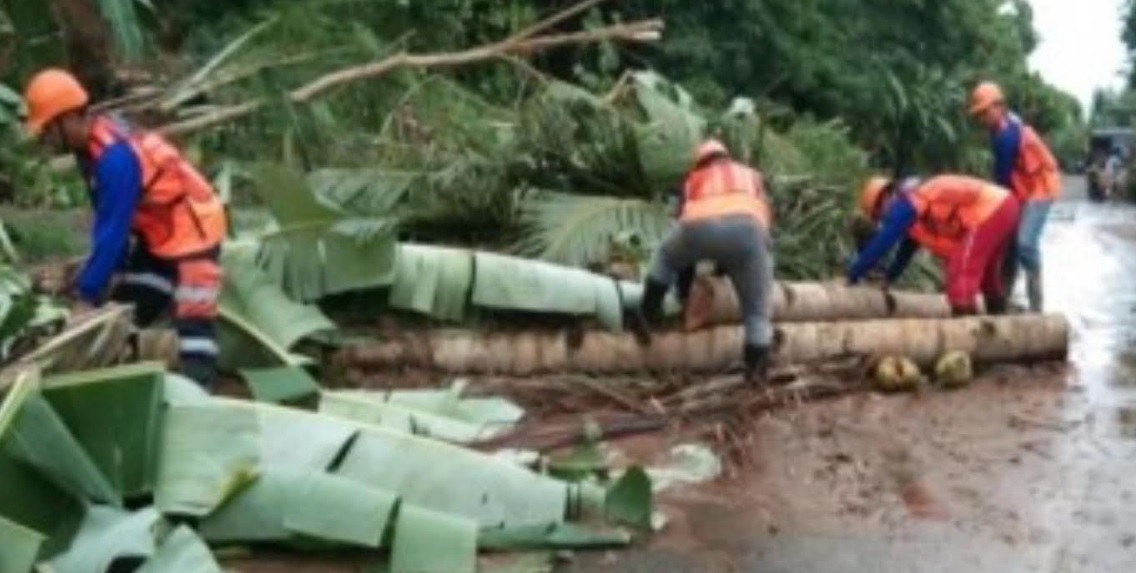 12 na patay sa hagupit nina Crising, Dante, Emong | Police Files! Tonite