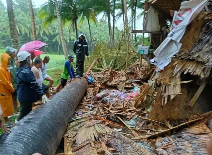 5 MIEMBRO NG PAMILYA NAPISAK SA NABUWAL NA PUNO NG BULI | Police Files ...