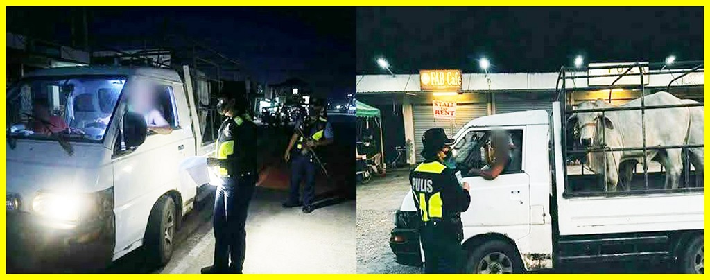2 katao lumabag sa Anti-Cattle Rustling Law, arestado | Police Files ...